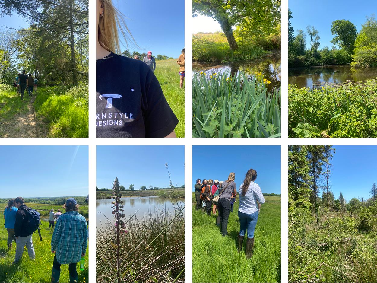 Devon neighbours unite to rewild on a grand scale - Turnstyle Designs