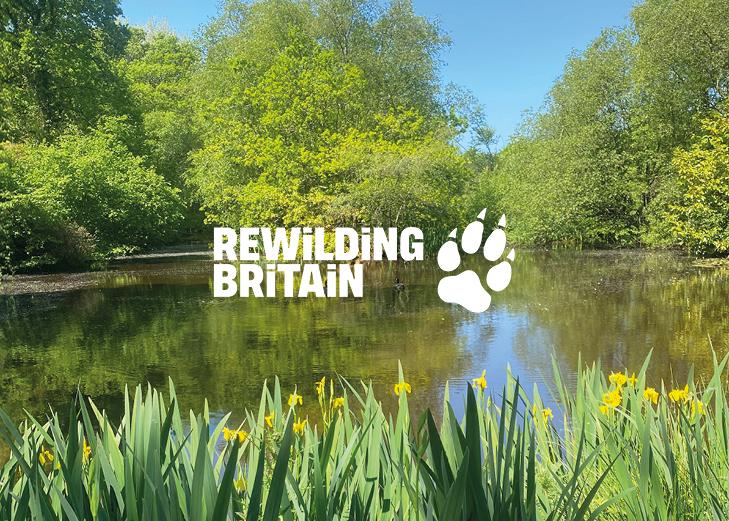 Devon neighbours unite to rewild on a grand scale - Turnstyle Designs