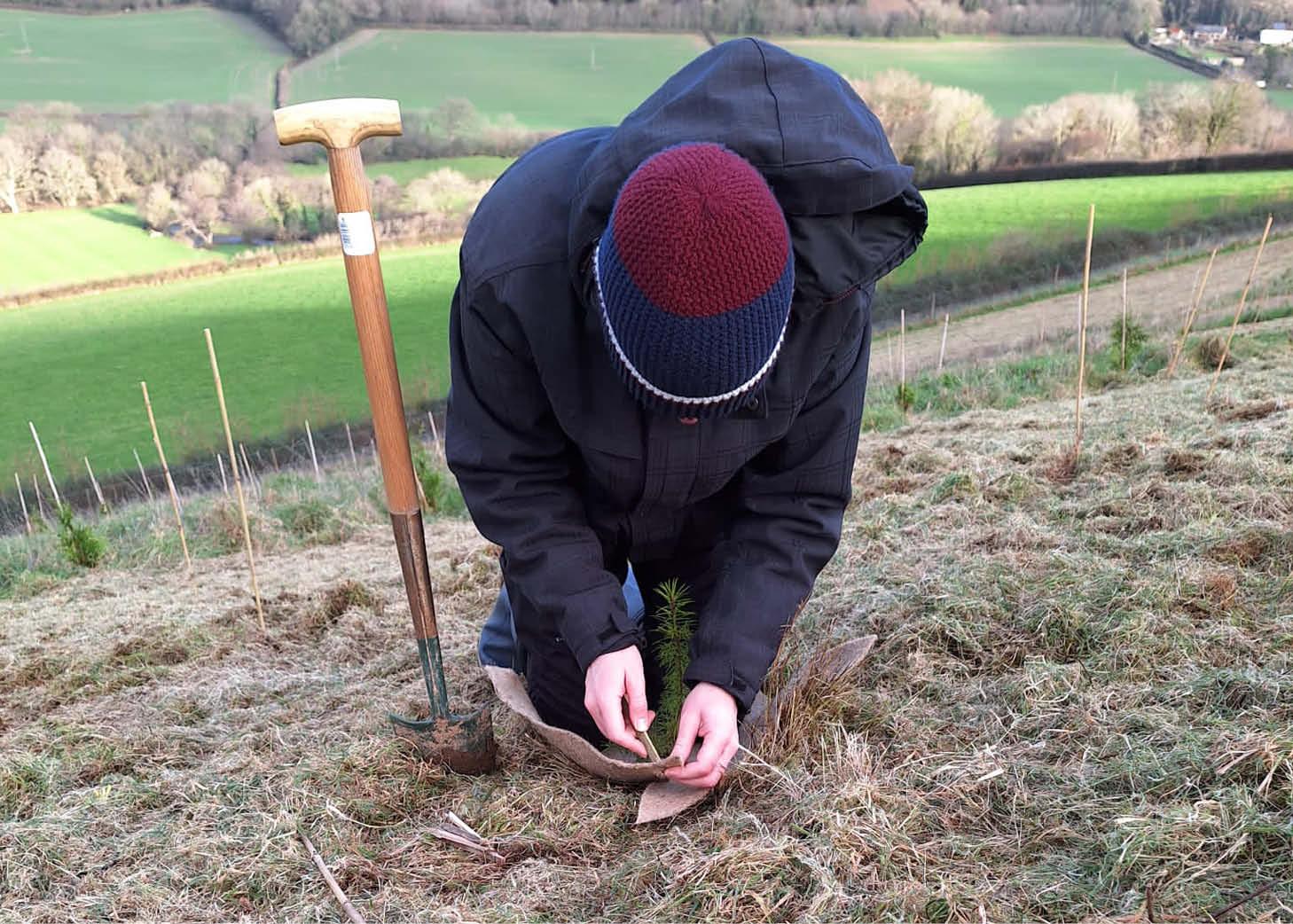 Turnstyle Designs Planting the future at Yeo Valley community woodland ...